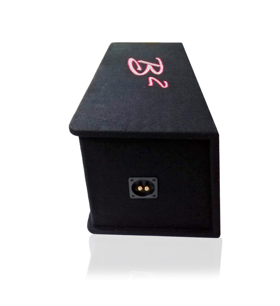 B2 Audio DVPE28 (dual loaded 8″ subwoofers) – BladeICE